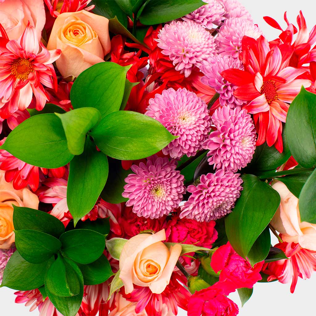Pompon Flowers Collection | La Florela